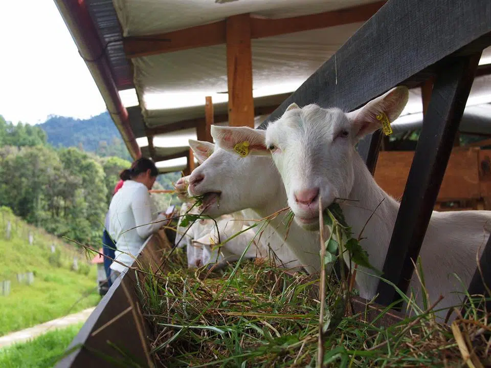 Happy 30th Anniversary Farmer-to-Farmer! - Partners of the Americas