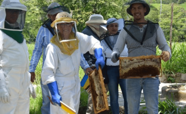 Generating Buzz: F2F Volunteer Brings her Passion for Beekeeping to the ...